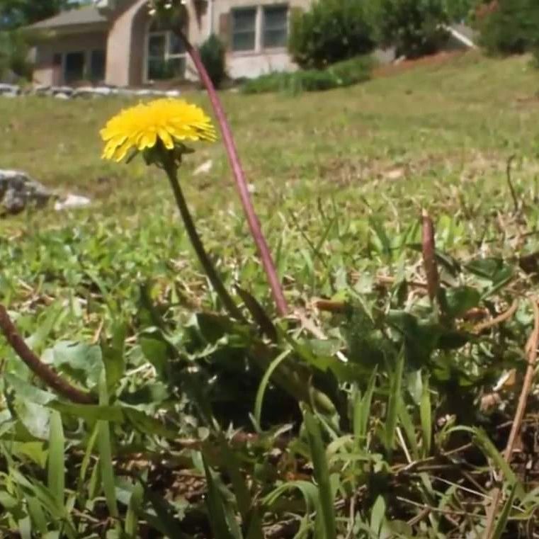 ‘Profit off the pandemic’: Homeowners fearing fines, legal action from ...